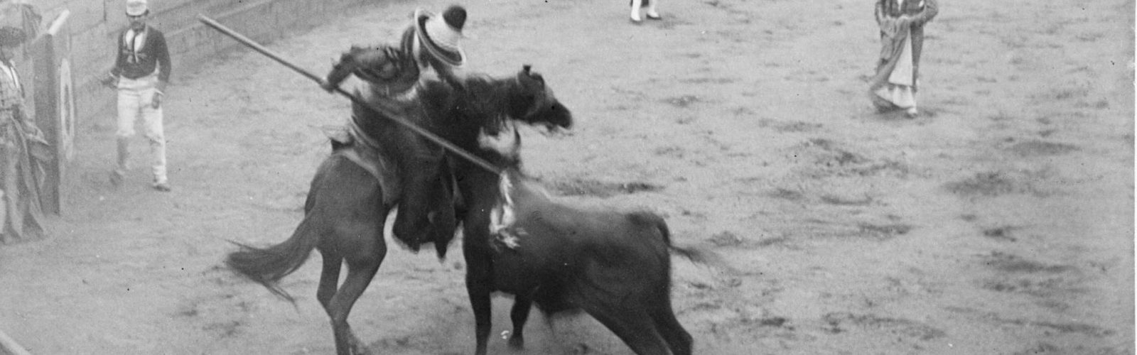 Bullfighting - Strangers Guide